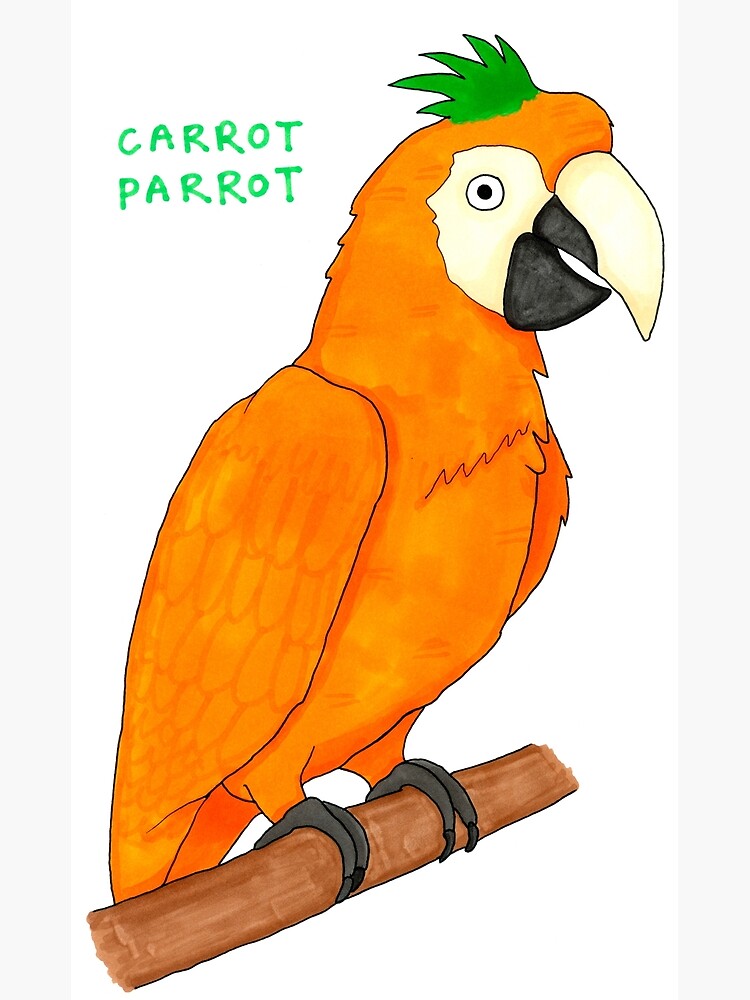 "Carrot Parrot" Art Print for Sale by EBG-draws | Redbubble