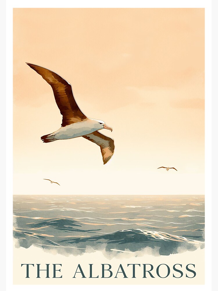 "The Albatross, Taylor Swift TTPD Poster" Sticker for Sale by ...