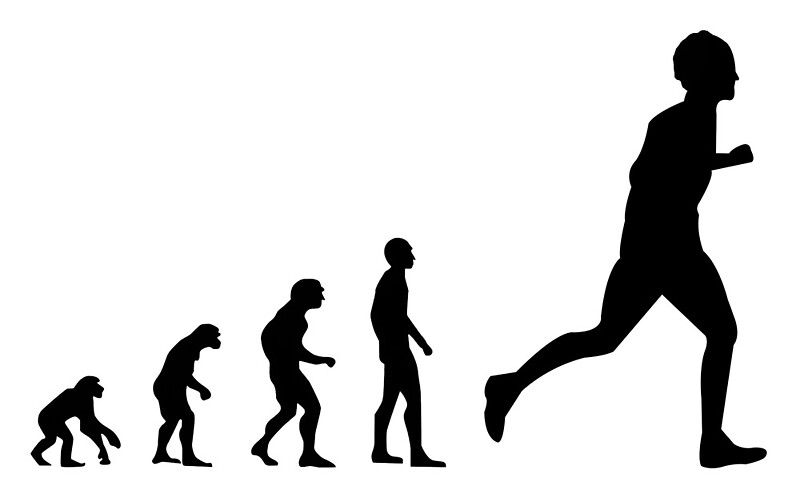 « Evolution Running » par wunderartig | Redbubble