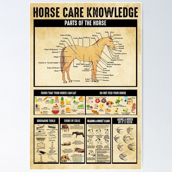 Creature Knowledge Posters for Sale | Redbubble