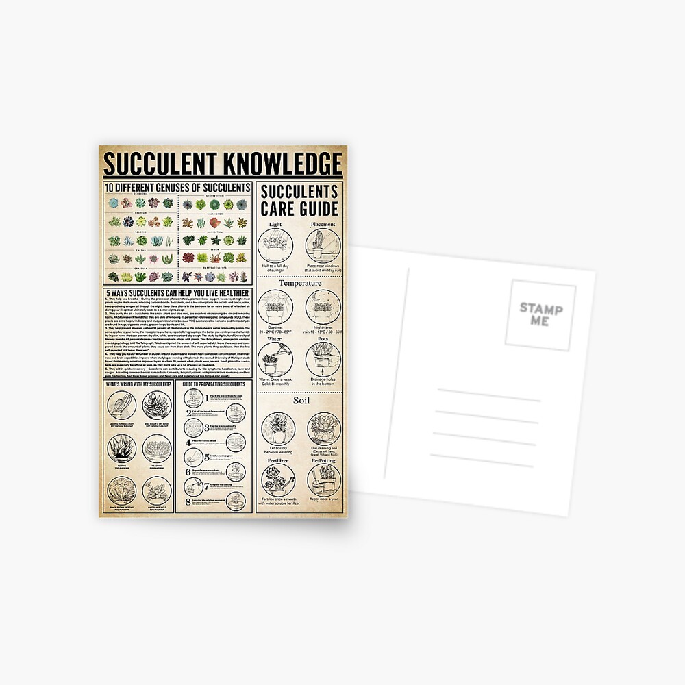 "Succulent Knowledge Infographic for Plant and Garden Lovers" Poster ...