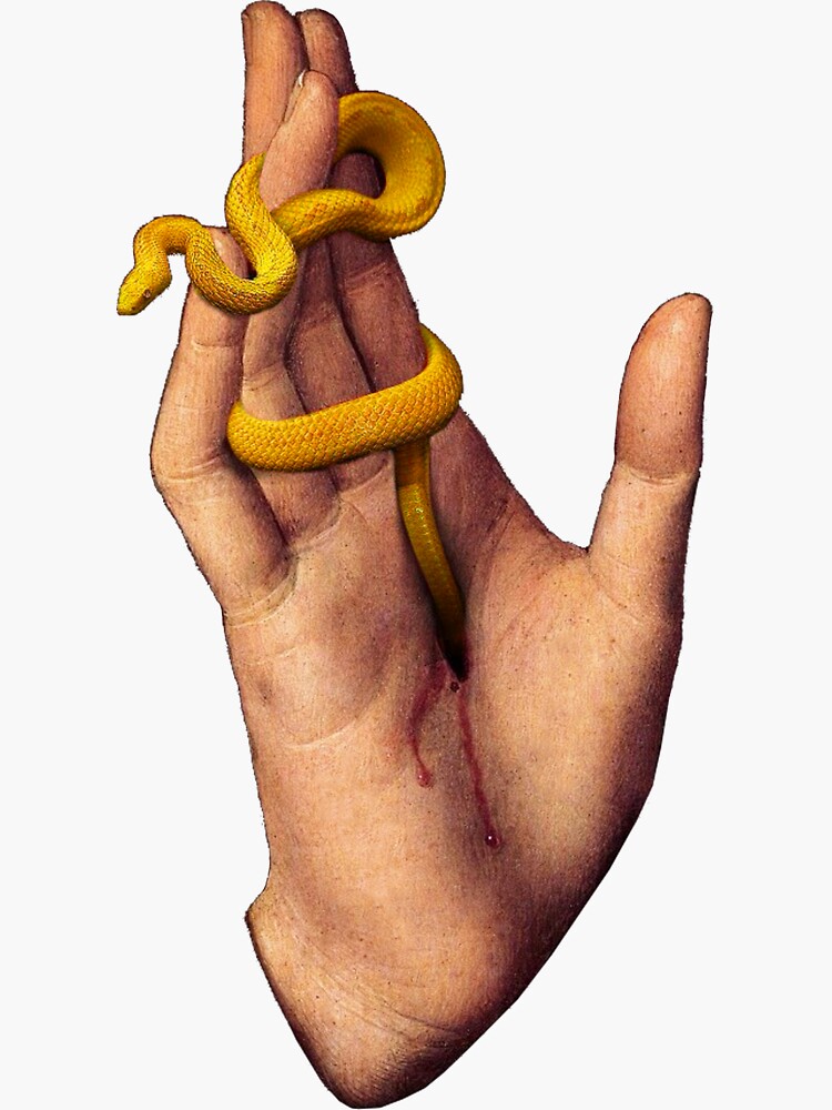 "Snake & Hand" Sticker for Sale by PaulyH | Redbubble