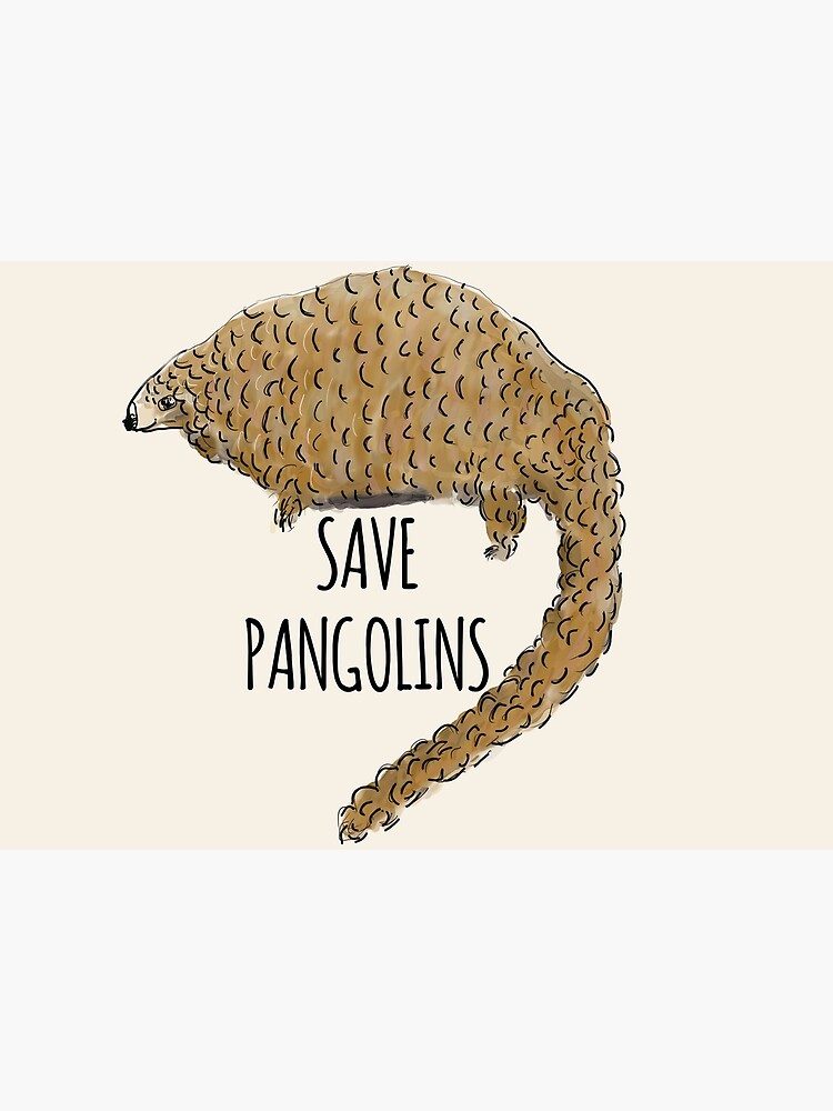 "Save Pangolins: Cute Pangolin Design" Poster for Sale by ...
