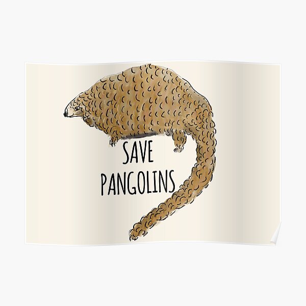 "Save Pangolins: Cute Pangolin Design" Poster for Sale by ...