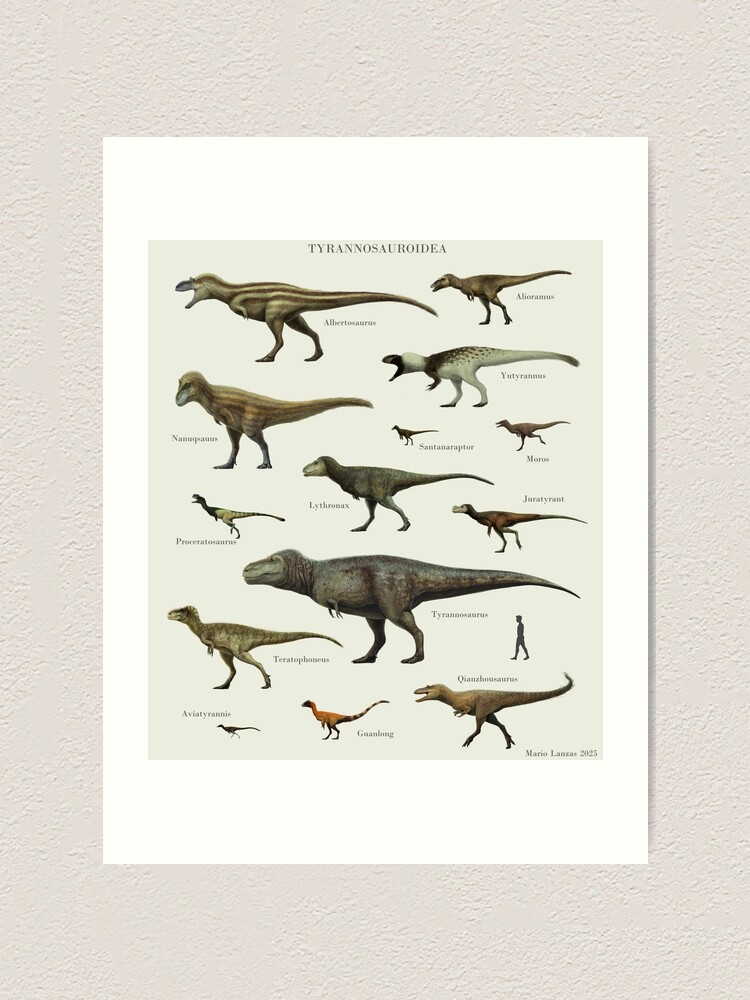 Dinosaurs In The T Rex Family