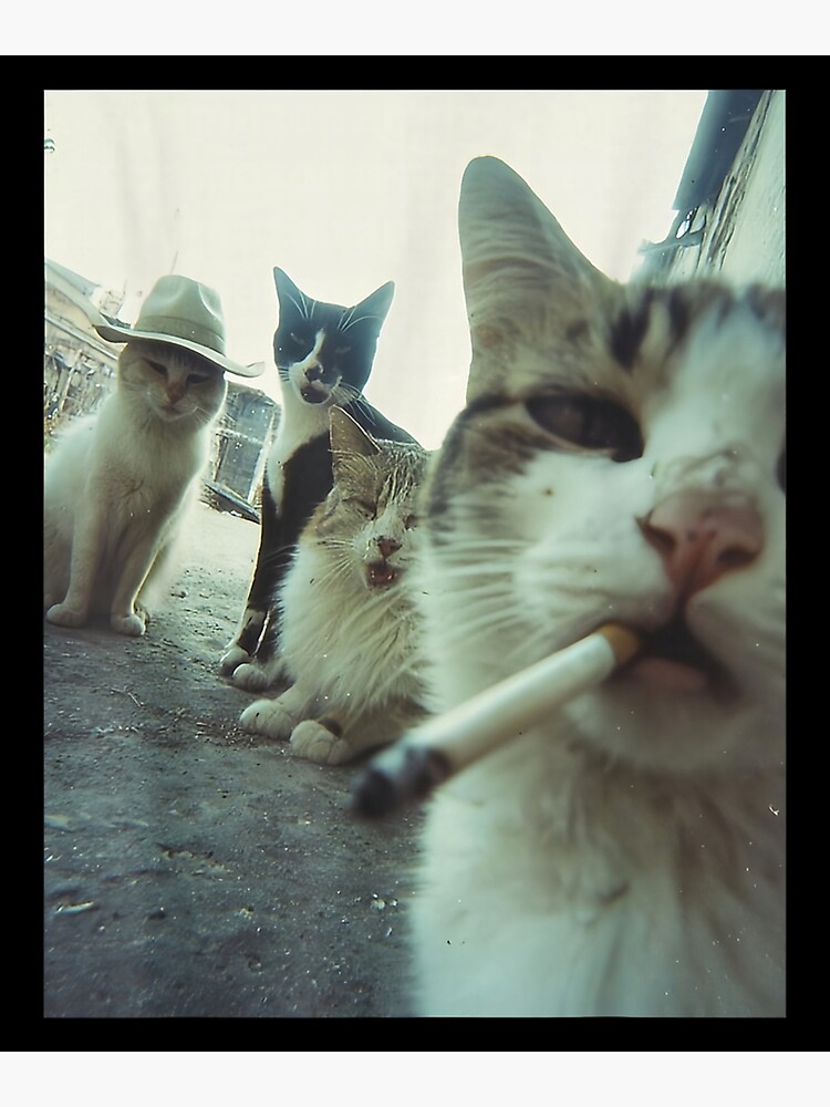 "Smoking Cats Meme" Poster for Sale by BASKF | Redbubble