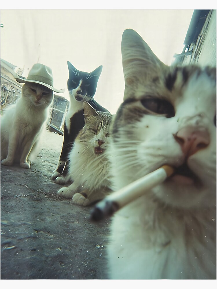 "Smoking Cats Meme" Sticker for Sale by BASKF | Redbubble