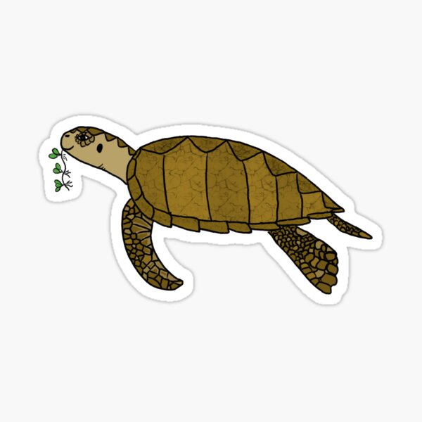 "Cute Sea Turtle " Sticker by wanungara | Redbubble