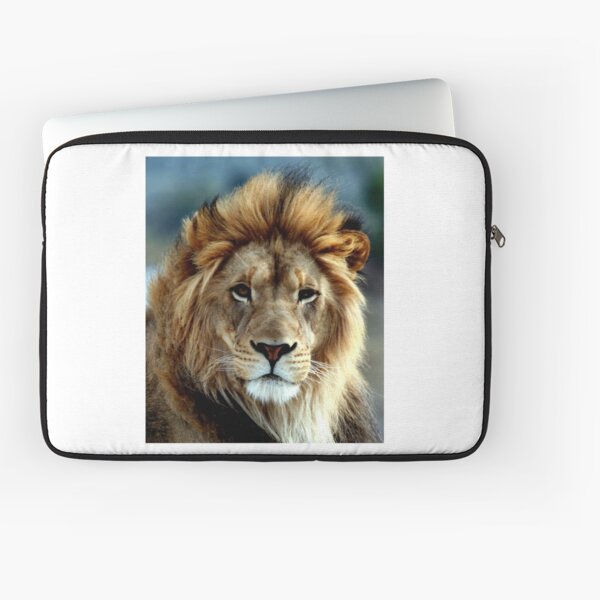 "Majestic Lion" by Judson Joyce | Redbubble