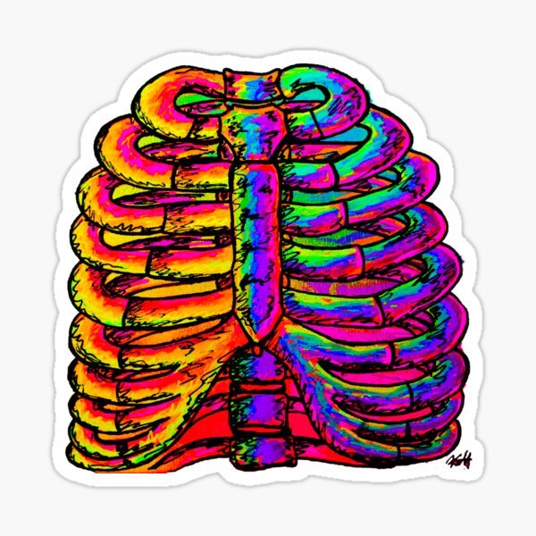 "Ribbin It up - Rib Cage Anatomy" Sticker for Sale by hansonsanatomy ...