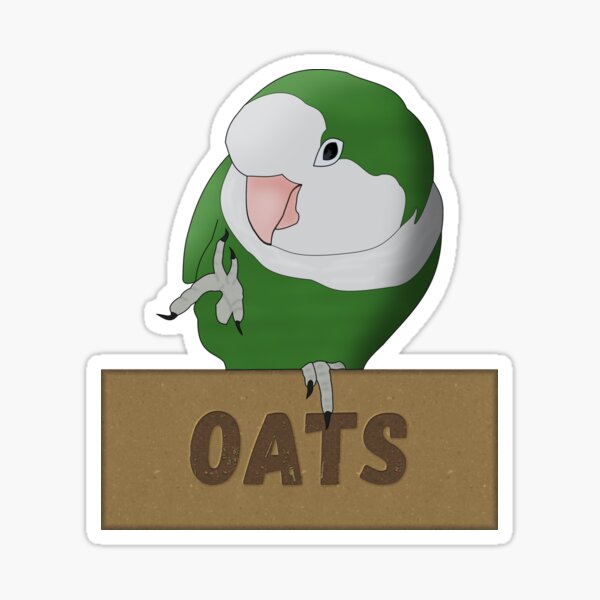 "Quaker Parrot loves Oats" Sticker for Sale by FloofTheBird | Redbubble