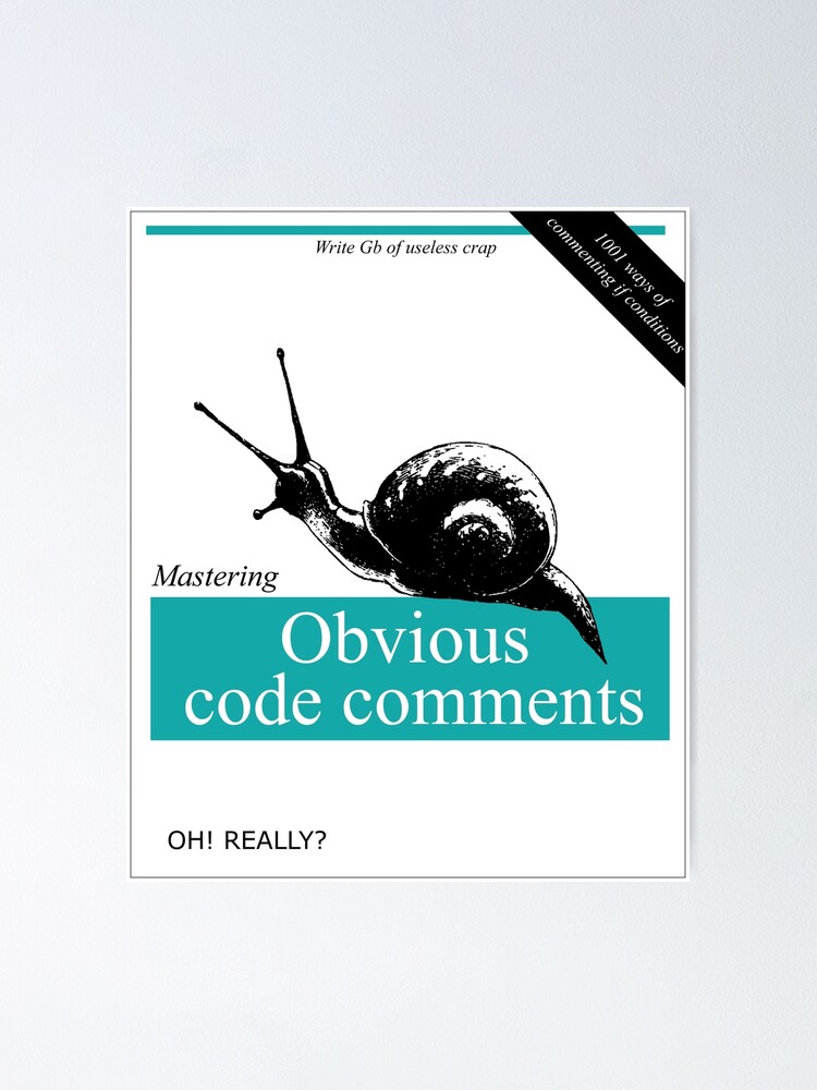 "Obvious code comments" Poster for Sale by Caldofran | Redbubble