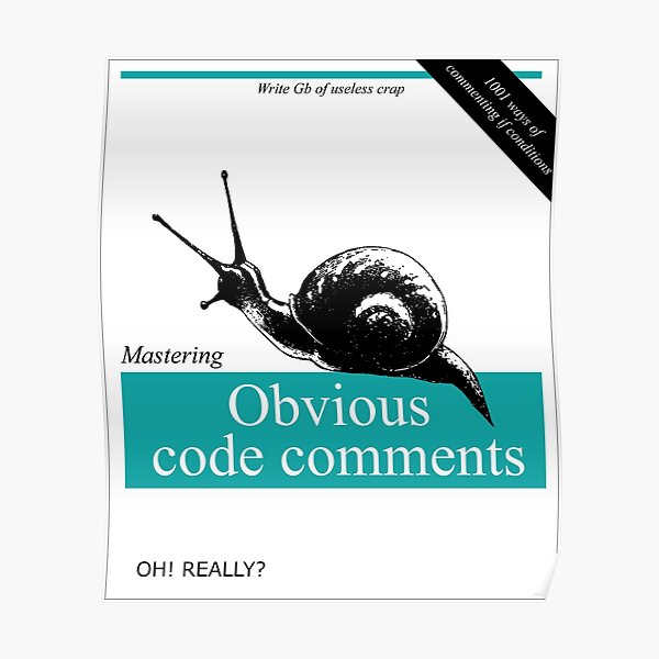 "Obvious code comments" Poster for Sale by Caldofran | Redbubble