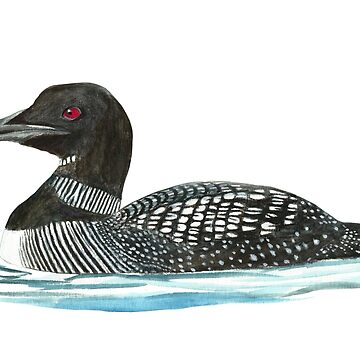 "Common Loon" Sticker for Sale by adziegiel | Redbubble