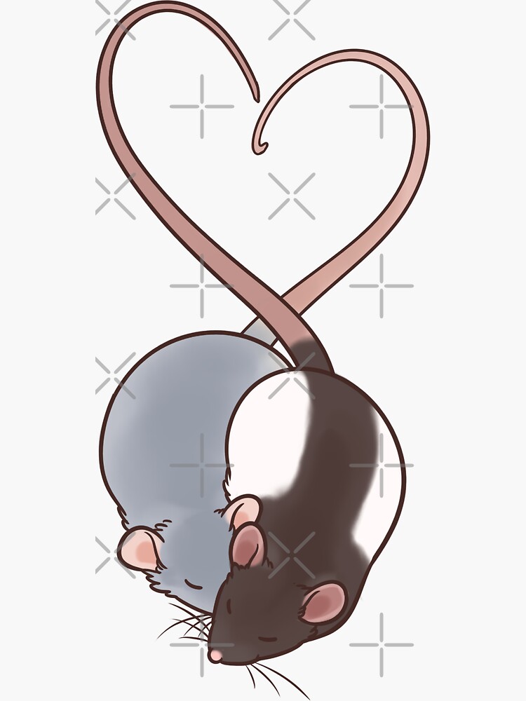 "Heart rats" Sticker for Sale by pawlove | Redbubble
