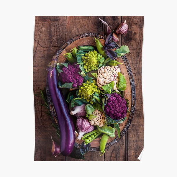 "Slow Food" Poster for Sale by alanshapiro | Redbubble
