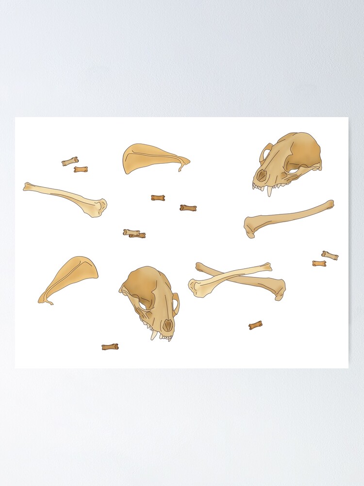 "Extra bones" Poster for Sale by DutchVulture | Redbubble
