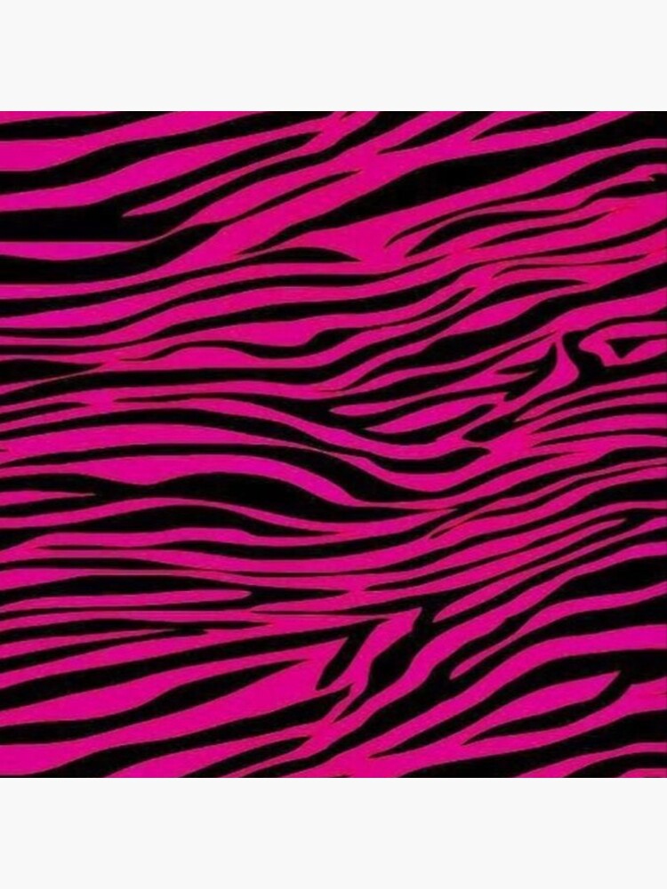 Hot Pink Zebra Stripes Backgrounds