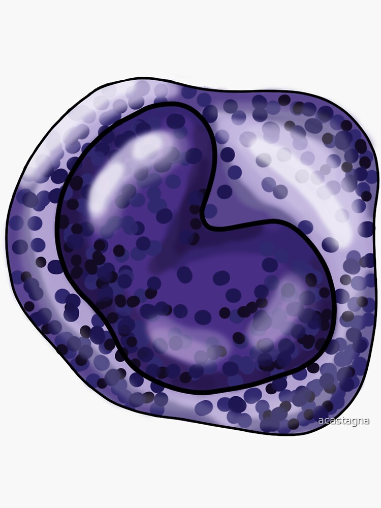 "Basophil" Sticker for Sale by acastagna | Redbubble