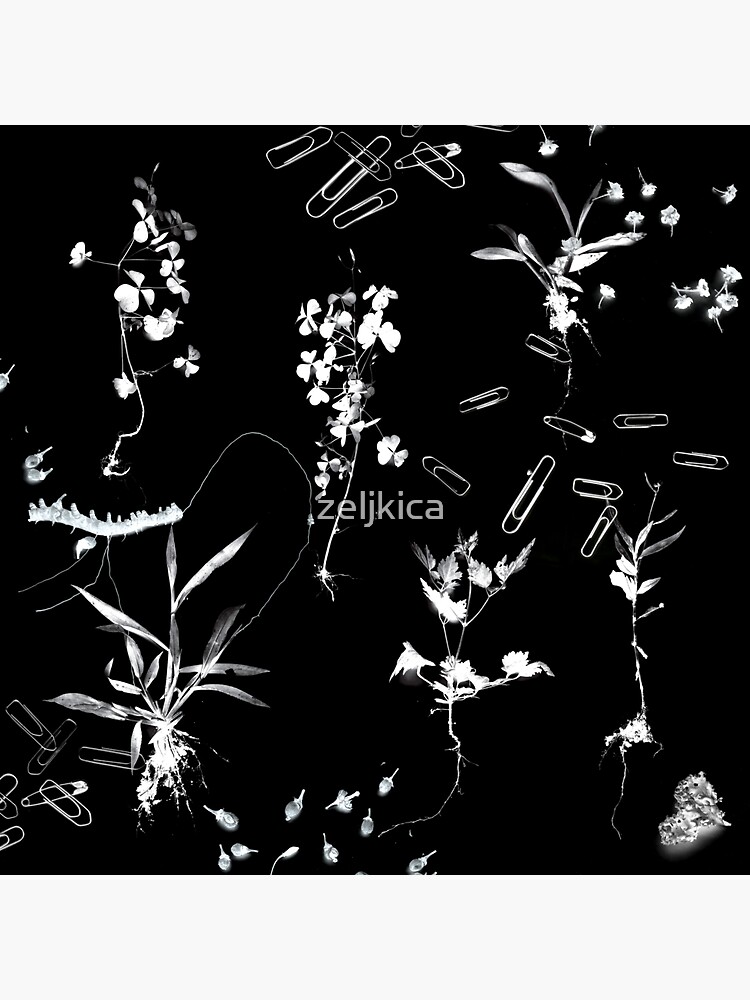 "Plants & Paper clips Photogram" Sticker for Sale by zeljkica | Redbubble