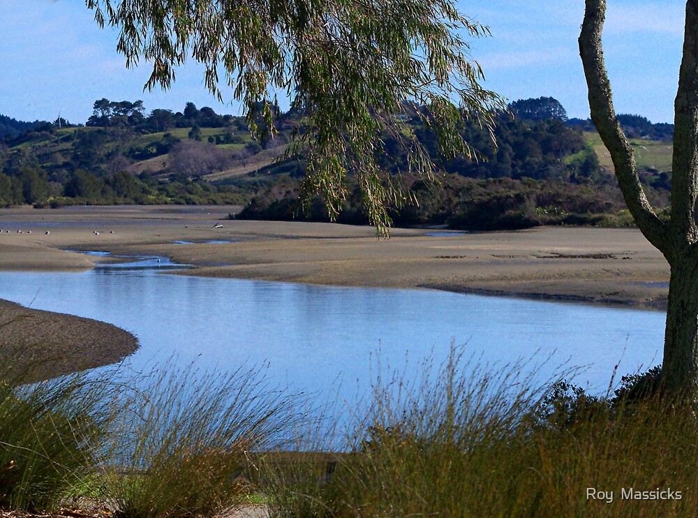 "The Orewa River at low tide......!!" by Roy Massicks | Redbubble