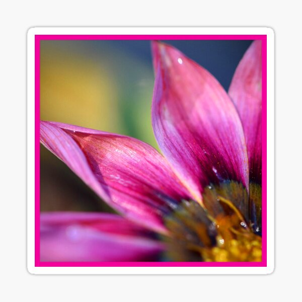 "Flower (MKW-F.111)" Sticker by Darling2425 | Redbubble