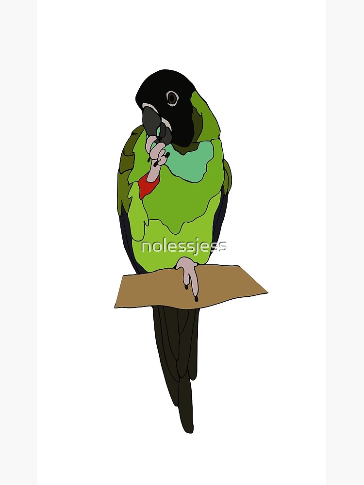 "Nando" Framed Art Print for Sale by nolessjess | Redbubble