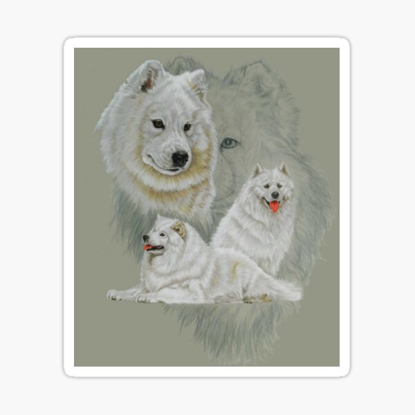 "Samoyed Revamp" Sticker by BarbBarcikKeith | Redbubble