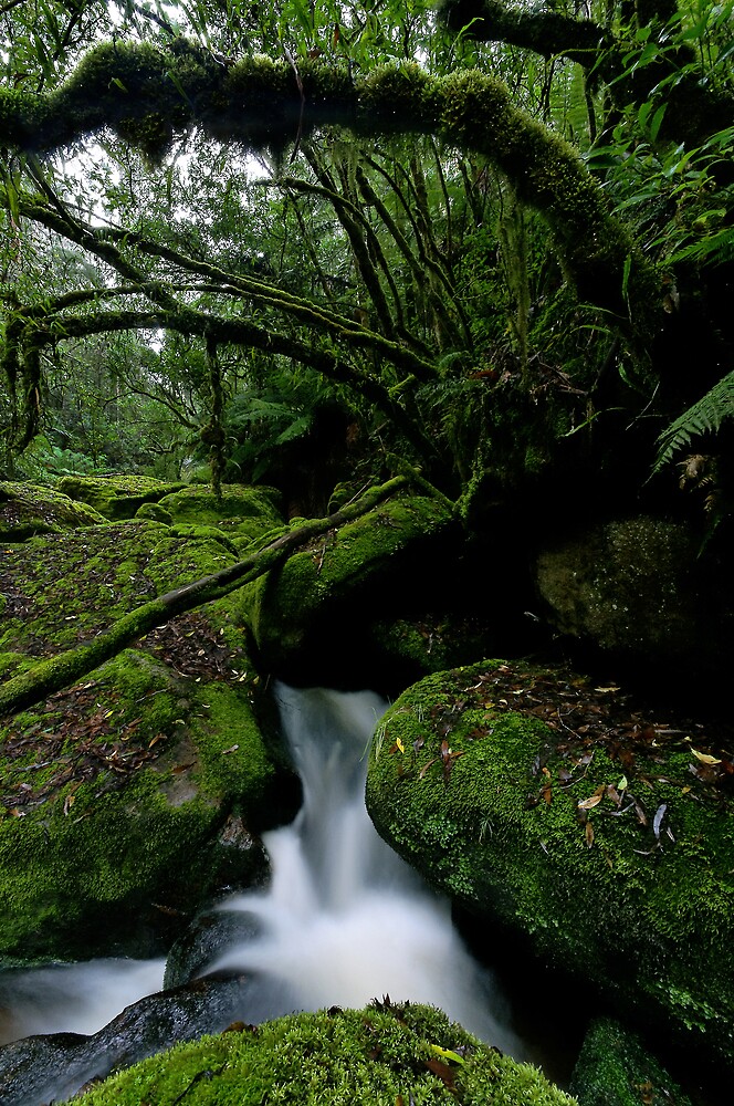 "The Green Room" by Robert Mullner | Redbubble