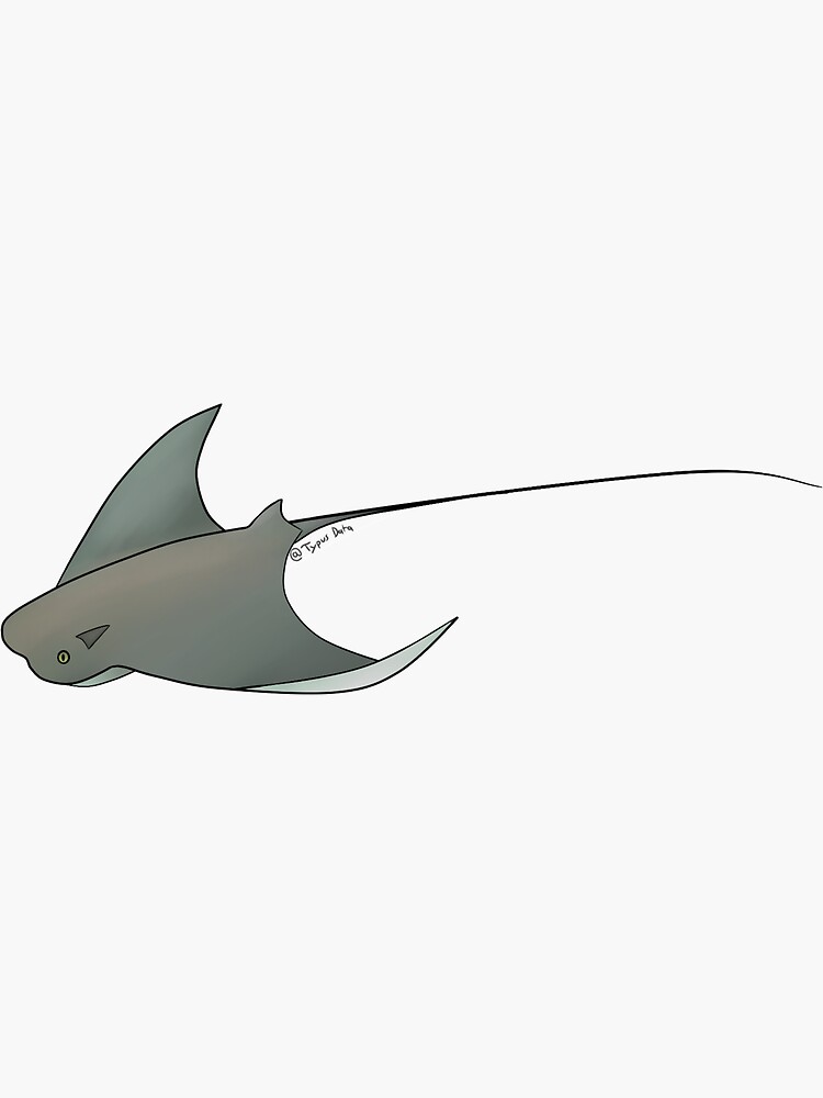 "Realistic Cownose Ray Sticker - Cora" Sticker for Sale by TypusData ...