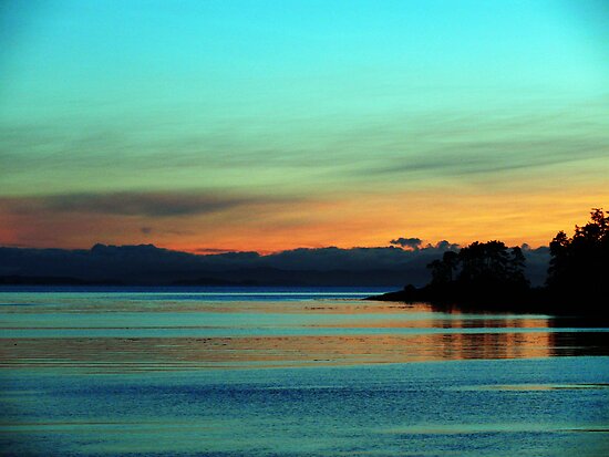 "A Teal Sunrise" Posters by Gail Bridger | Redbubble