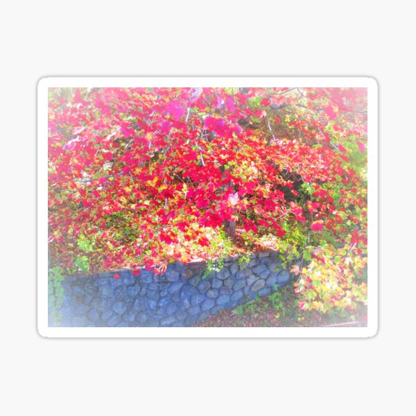 "Enhancing the Stone" Sticker for Sale by NorthOfSunrise | Redbubble