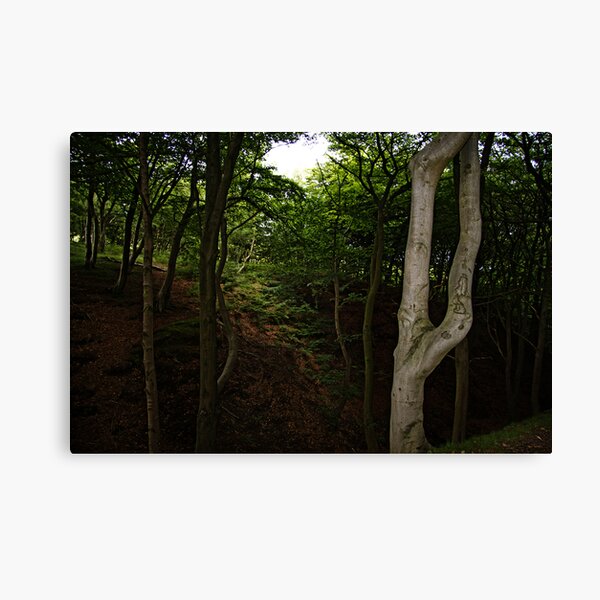 Ramsbottom Wall Art | Redbubble