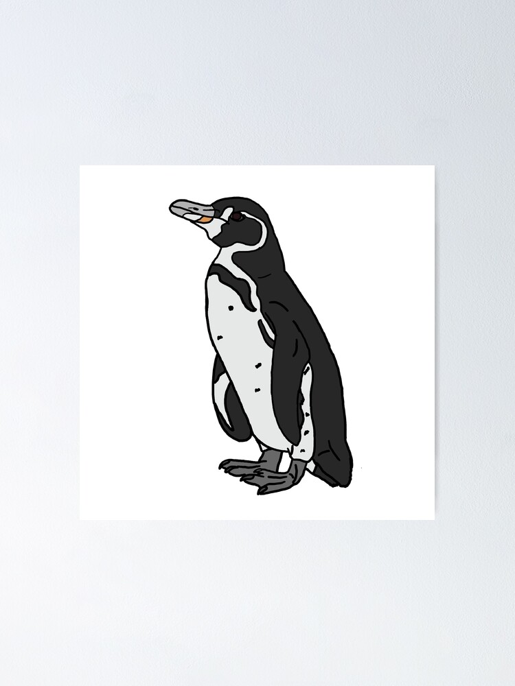 "Galapagos Penguin" Poster by GraceT26 | Redbubble