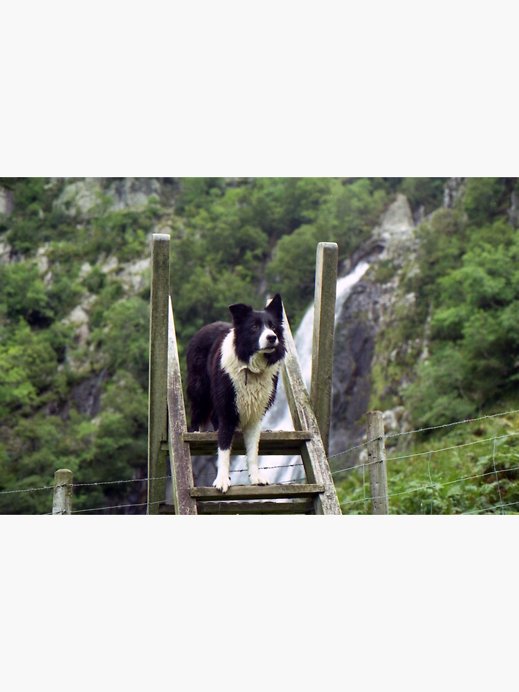 "Someone to watch over me" Sticker for Sale by mhhaslam | Redbubble