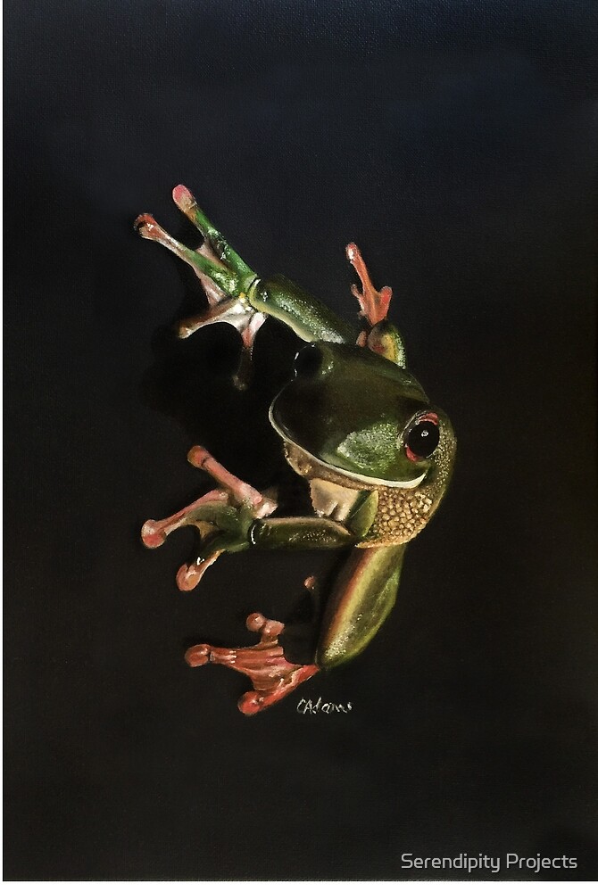 "White Lipped Tree Frog Kuranda" by Cate Adams | Redbubble