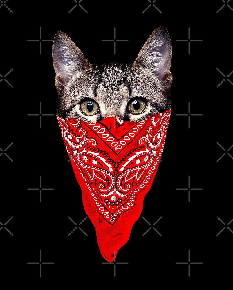 "Gangster Cat" by clingcling | Redbubble