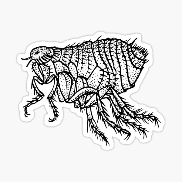 "The Flea" Sticker by phandiltees | Redbubble