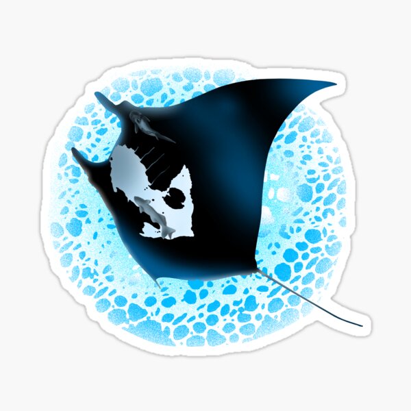 "manta" Sticker by sibosssr | Redbubble
