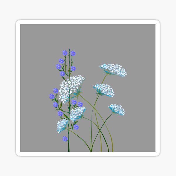 "Wild Flowers, Queen Anne's Lace and Flax" Sticker for Sale by ...