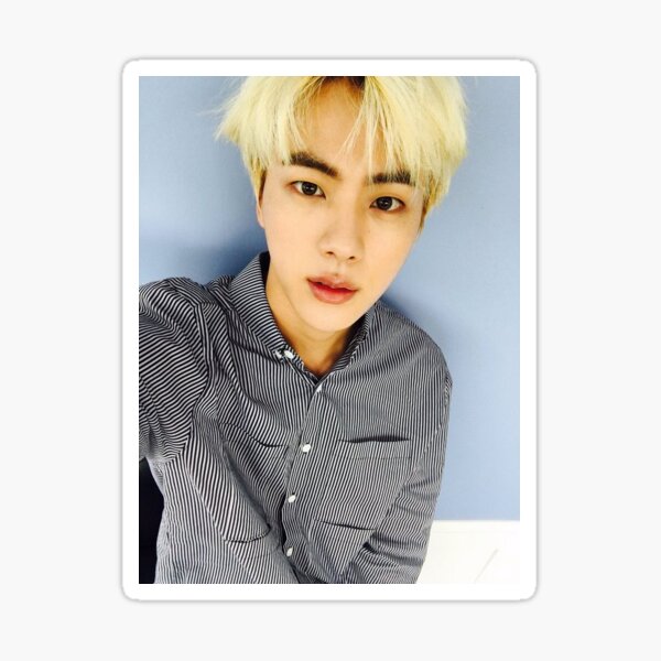 "BTS - Jin Sticker" Sticker by Magalyv98 | Redbubble