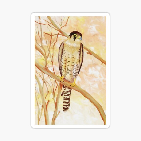 "PEREGRINE FALCON" Sticker for Sale by jansimpressions | Redbubble