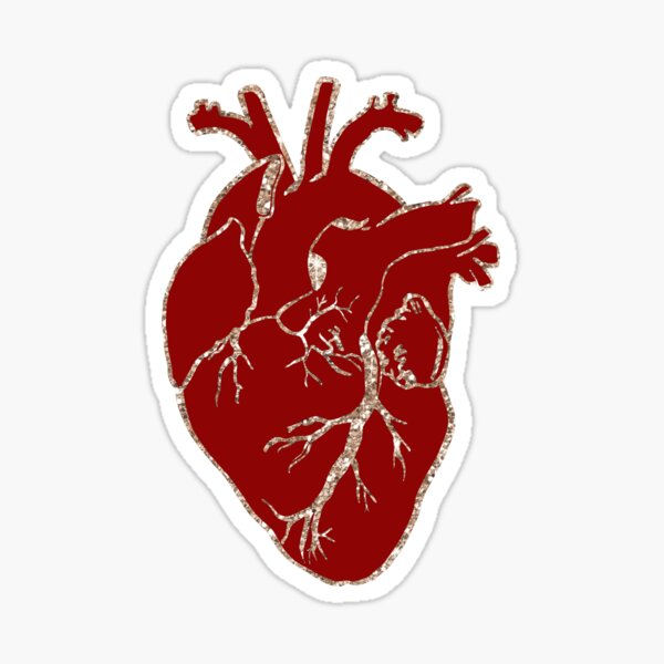 "Faux Glitter Gold and Blood Red Anatomical Heart Kinda" Sticker by ...