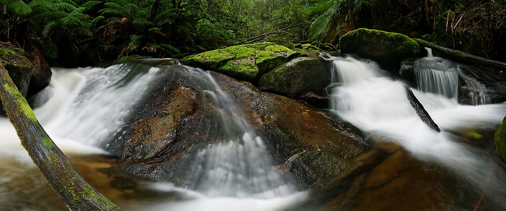 "Cascadepan" by Robert Mullner | Redbubble