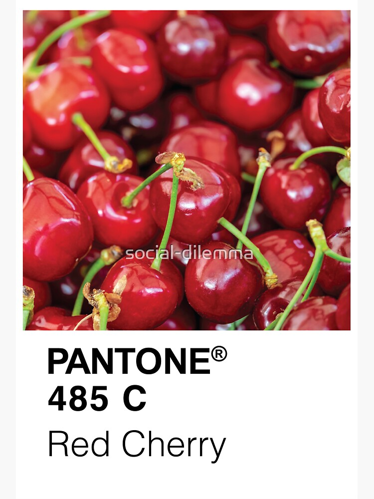 "Color Swatch - Red Cherry" Sticker for Sale by social-dilemma | Redbubble