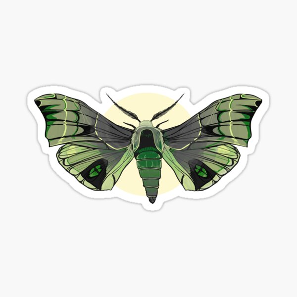 "Aromantic Moth" Sticker for Sale by FionaCreates72 | Redbubble