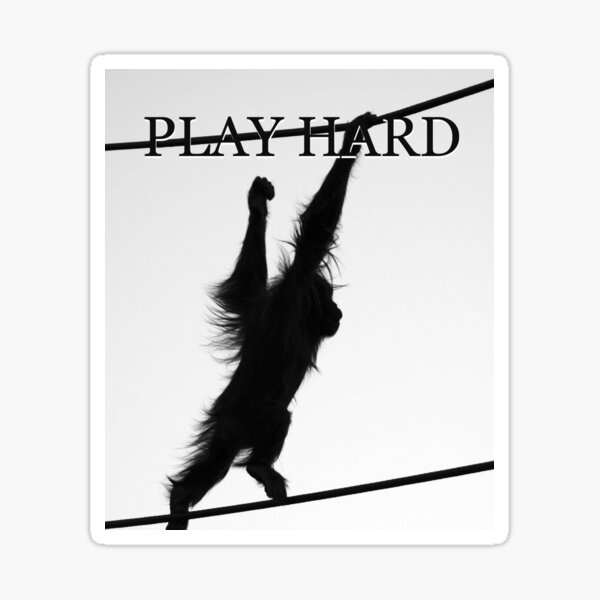 "Play Hard" Sticker for Sale by dltphoto | Redbubble