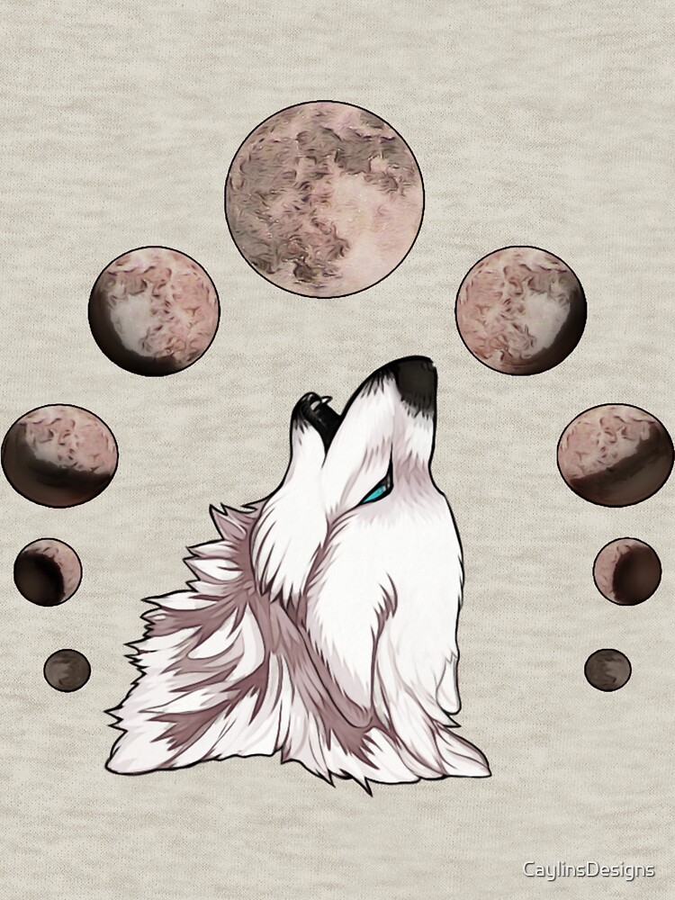 Wolf Midnight Forest Silhouette