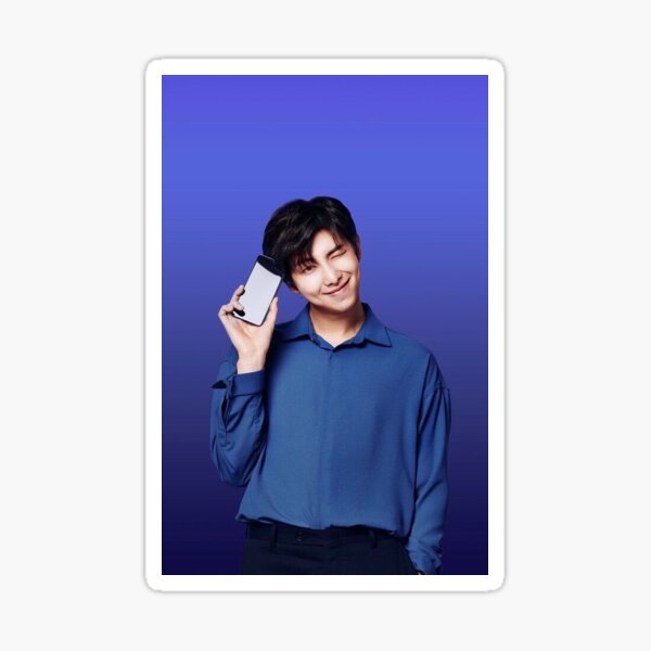 "RM BTS" Sticker by kikimini | Redbubble