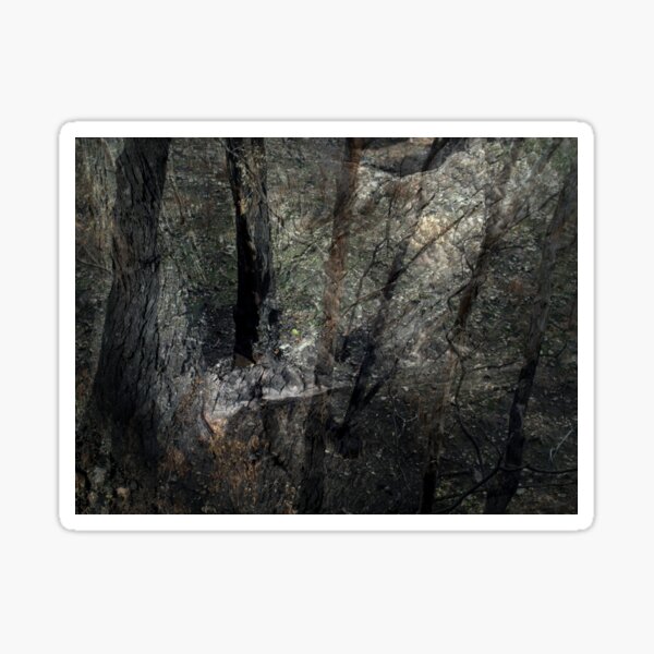 "Ashes To Ashes" Sticker for Sale by fuzzi | Redbubble